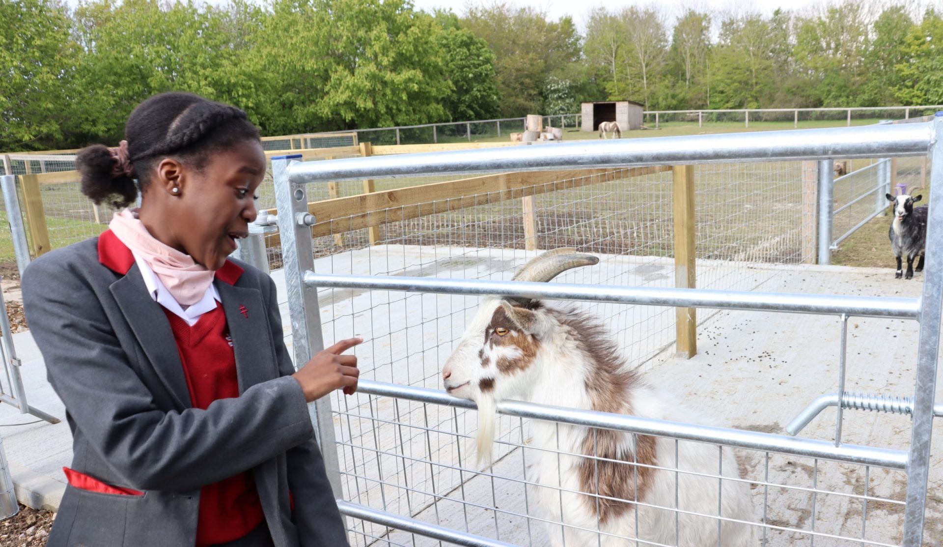 New Hall Farm | New Hall School | Senior Division