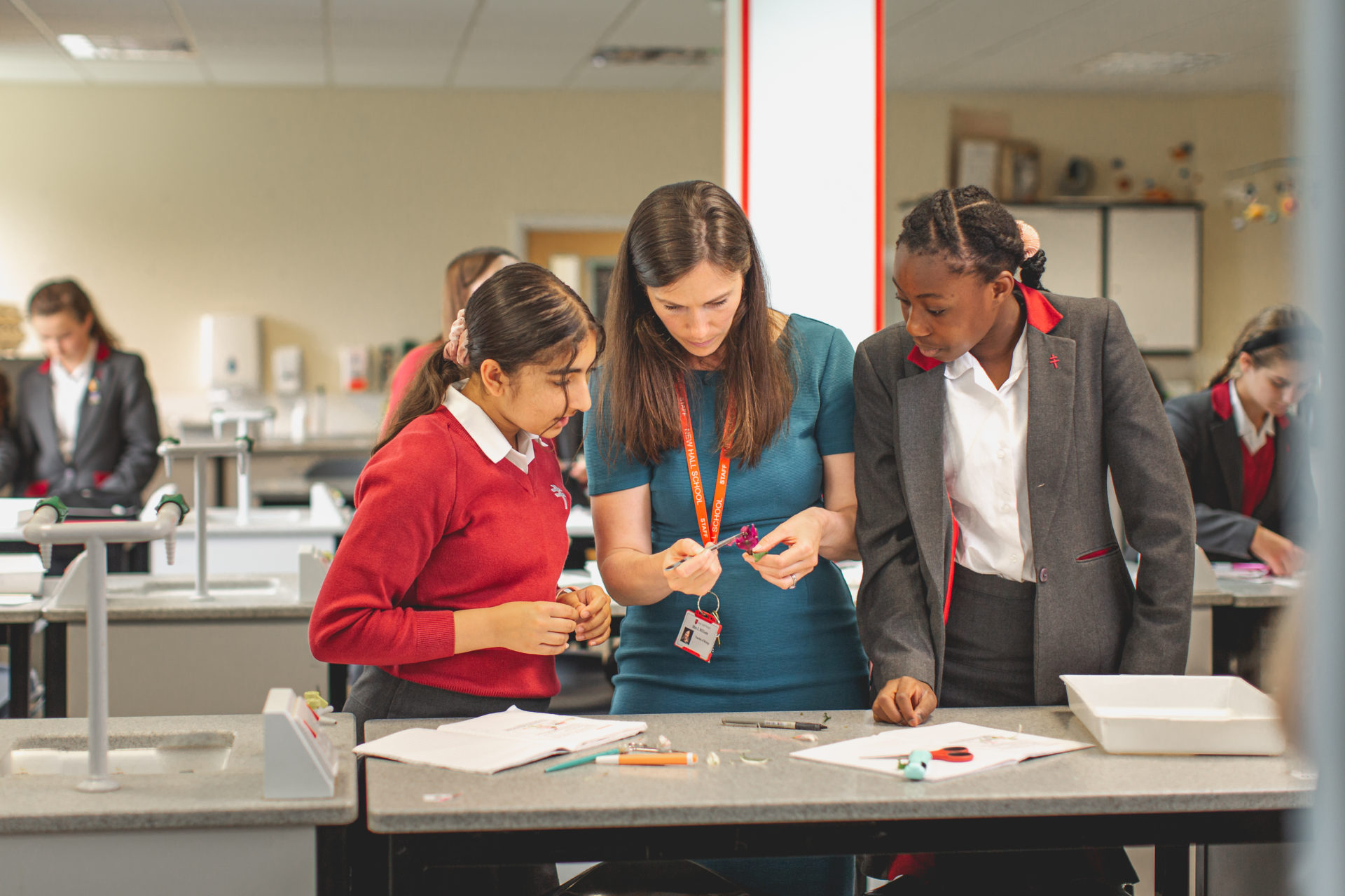 A Level Biology | New Hall School | Sixth Form Curriculum